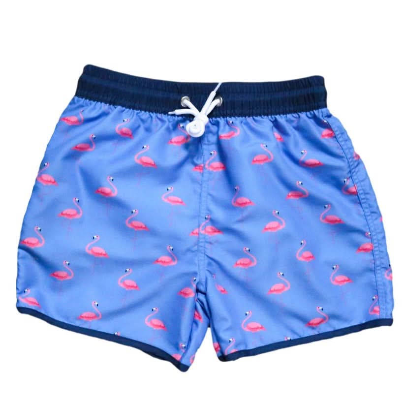 Trendy Pink Flamingo Swim Trunks for Men - Fast Drying Fabric – LIV ...